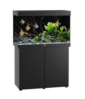 JUWEL® AQUARIUM Kombination Rio 290 LED, ca. | Dehner